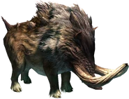 Bulldrome Photo Gallery | Monster Hunter Wiki | Fandom