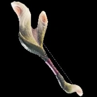 Felyne Pukei Bow (MHW) | Monster Hunter Wiki | Fandom