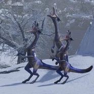 Baggi Photo Gallery | Monster Hunter Wiki | Fandom