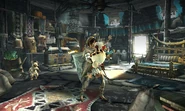Bherna | Monster Hunter Wiki | Fandom