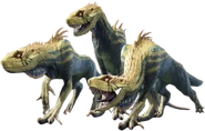Jagras Photo Gallery | Monster Hunter Wiki | Fandom