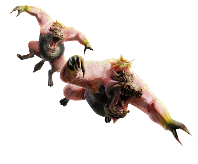 Conga | Monster Hunter Wiki | Fandom