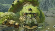 Tetranadon Photo Gallery | Monster Hunter Wiki | Fandom