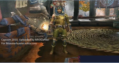 MHP3: High Rank Blademaster | Monster Hunter Wiki | Fandom