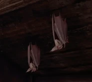 MHW: Endemic Life List | Monster Hunter Wiki | Fandom