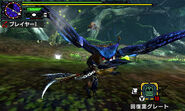 Malfestio Photo Gallery | Monster Hunter Wiki | Fandom