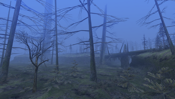 Old Swamp | Monster Hunter Wiki | Fandom