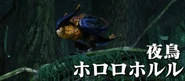Malfestio Photo Gallery | Monster Hunter Wiki | Fandom