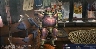 MHP3: High Rank Blademaster | Monster Hunter Wiki | Fandom