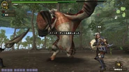 Gogomoa Photo Gallery | Monster Hunter Wiki | Fandom