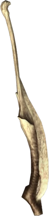 Large Bone (MHF1) | Monster Hunter Wiki | Fandom