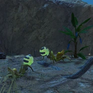 Altaroth Photo Gallery | Monster Hunter Wiki | Fandom