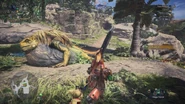 Great Jagras Photo Gallery | Monster Hunter Wiki | Fandom