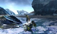 Zamite Photo Gallery | Monster Hunter Wiki | Fandom