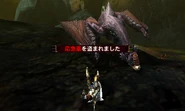 Purple Gypceros Photo Gallery | Monster Hunter Wiki | Fandom