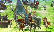 Bherna | Monster Hunter Wiki | Fandom