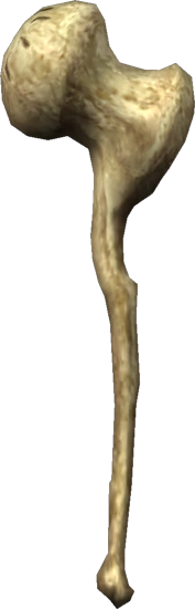 Bone Club (MH1) | Monster Hunter Wiki | Fandom