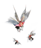 Bnahabra Photo Gallery | Monster Hunter Wiki | Fandom