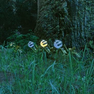 Altaroth Photo Gallery | Monster Hunter Wiki | Fandom