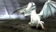 White Fatalis Photo Gallery | Monster Hunter Wiki | Fandom