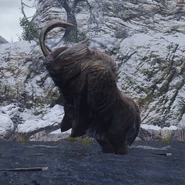 Popo Photo Gallery | Monster Hunter Wiki | Fandom