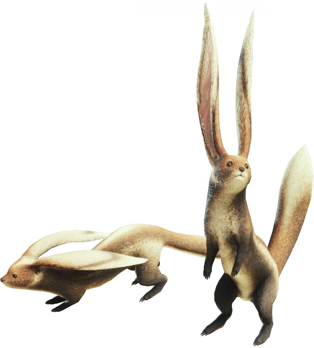 Fauna Local | Wiki Monster Hunter | Fandom