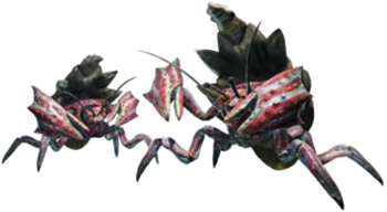 Hermitaur | Wiki Monster Hunter | Fandom