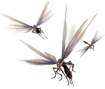 Vespoid | Wiki Monster Hunter | Fandom