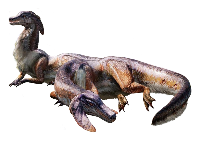 Jaggia | Wiki Monster Hunter | Fandom