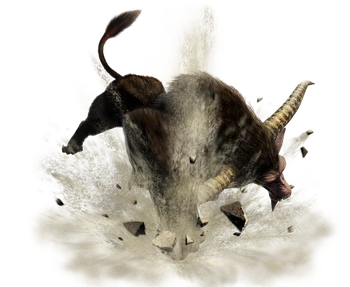 Rajang | Wiki Monster Hunter | Fandom