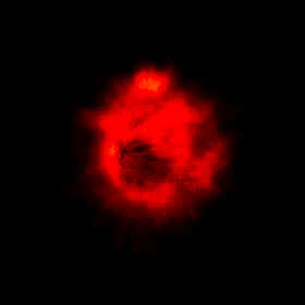 Wrathful Wisp | Monster Hunter Fanpedia | Fandom