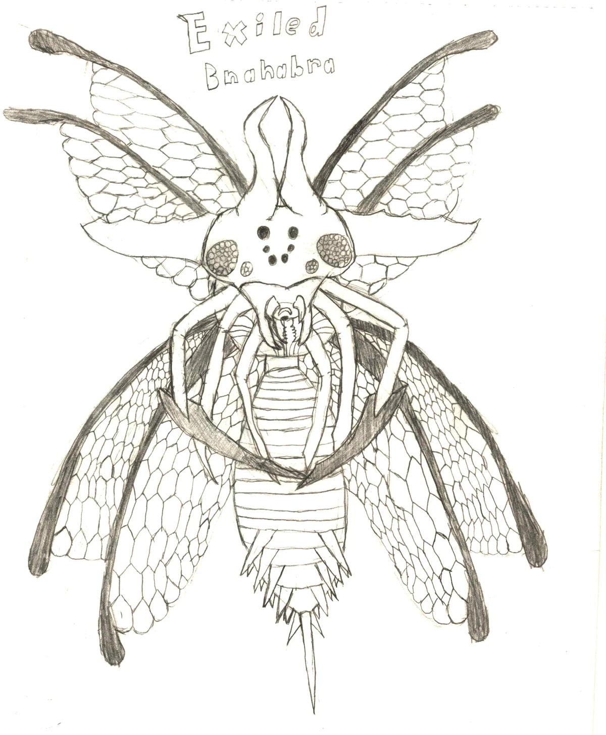 Exiled Bnahabra | Monster Hunter Fanpedia | Fandom