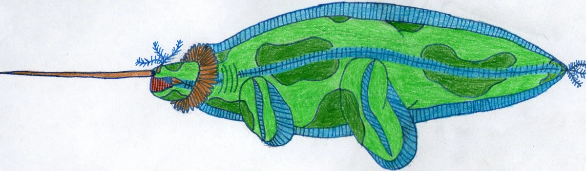 Endyraga: VelvetEel | Monster Hunter Fanpedia | Fandom