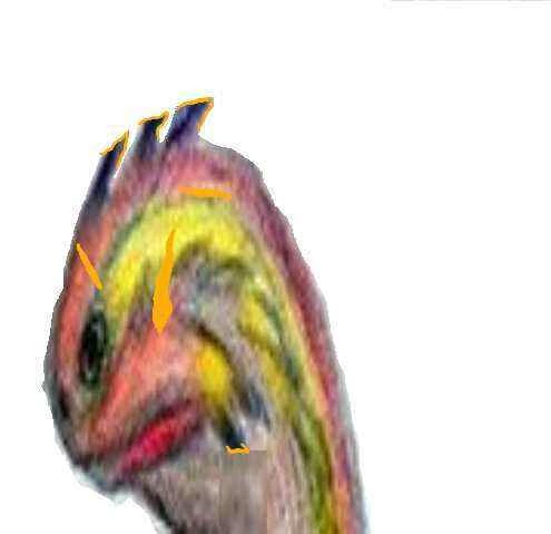 Frezzed Epioth | Monster Hunter Fanpedia | Fandom