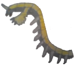 Queen Konchu | Monster Hunter Fanpedia | Fandom