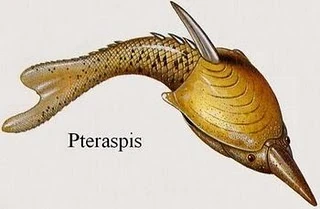 Pteraspis | Monster Hunter Fanpedia | Fandom
