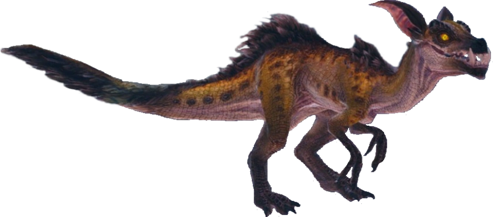Boggi | Monster Hunter Wiki ita Wiki | Fandom