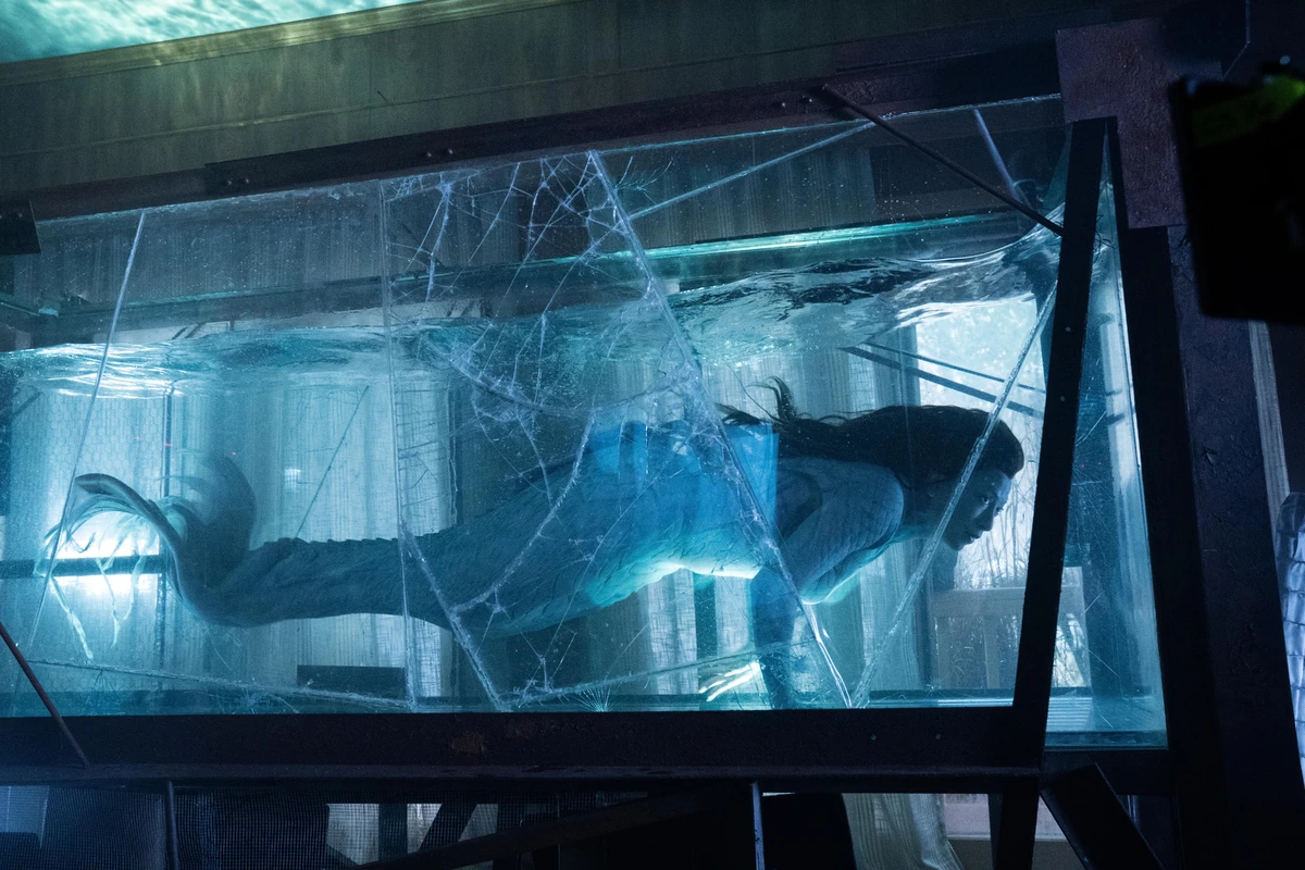 Mermaid | Monsterland Wiki | Fandom