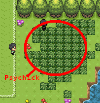 Psychick | Wiki Monster | Fandom