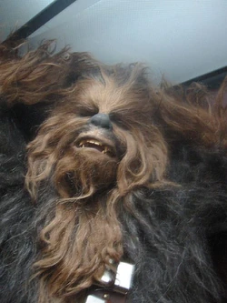 Chewbacca | Monster Moviepedia | Fandom