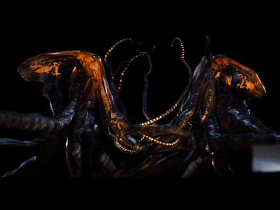 Aliens (Monsters) | Monster Moviepedia | Fandom