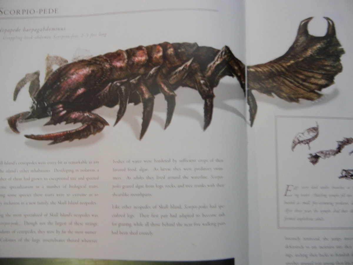 Scorpio-pede | Monster Moviepedia | Fandom