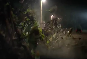 E. Ville Creeper Plants | Monster Moviepedia | Fandom