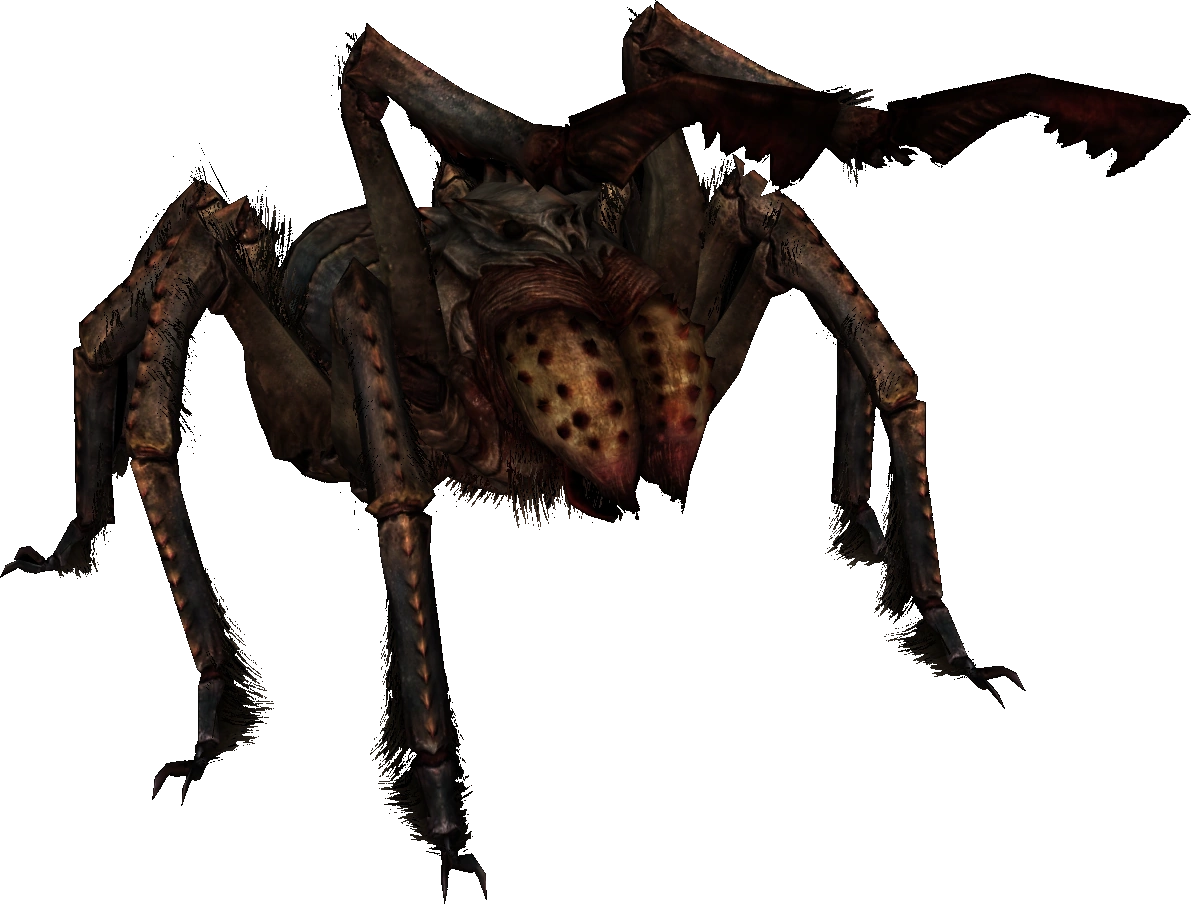 Frostbite Spider | Monster Moviepedia | Fandom