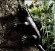 Giant Lizard | Monster Moviepedia | Fandom