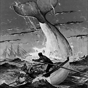 Moby Dick | Monster Moviepedia | Fandom