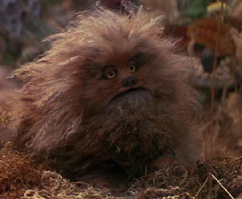 Fizzgig | Monster Moviepedia | Fandom