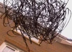 Scribble creature | Monster Moviepedia | Fandom