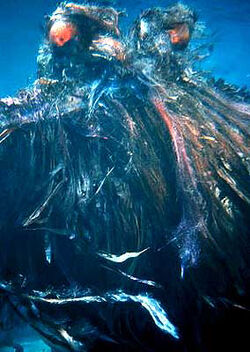 Deadly Creature Below | Monster Moviepedia | Fandom