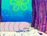 Alaskan Bull Worm | Monsters from SpongeBob Squarepants Wikia | Fandom